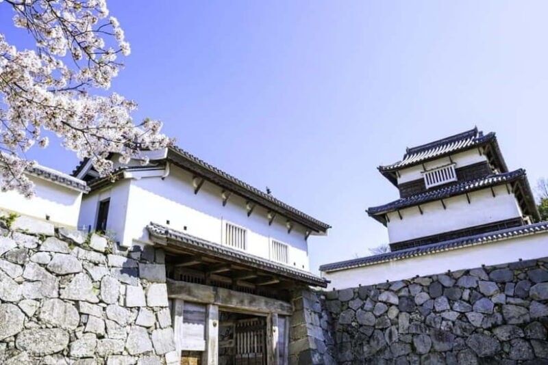 From Fukuoka: 3-Hour Tour of Castle Ruins & Ohori Park - Authentic Insights from Travelers