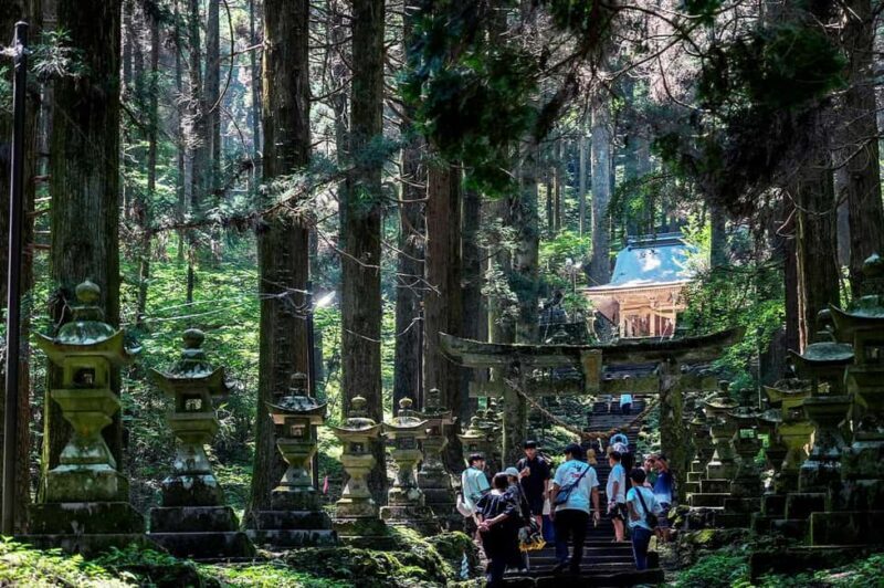 From Fukuoka: Miyazaki, Takachiho Gorge and Shrines Day tour - Detailed Breakdown of the Experience