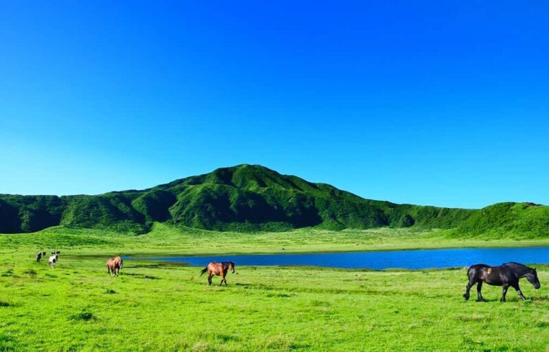 From Fukuoka: Mount Aso, Kurokawa Onsen, and Shrine Tour - Practical Tips for Travelers