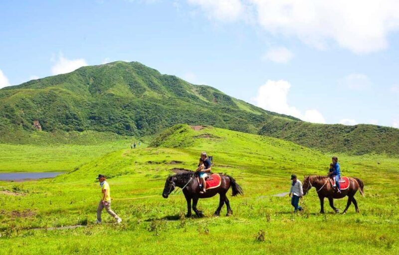 From Fukuoka: Mount Aso, Kurokawa Onsen, and Shrine Tour - The Sum Up