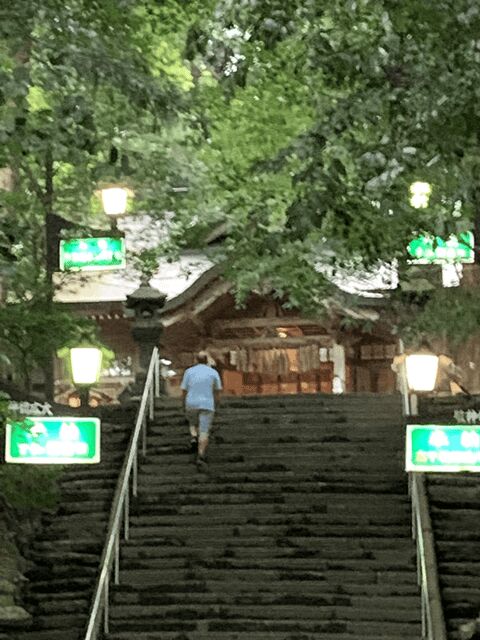 From Fukuoka: Mythical "Takachiho" Day Trip by PRIVATE Bus - Exploring the Route and Attractions: What Makes This Tour Stand Out?