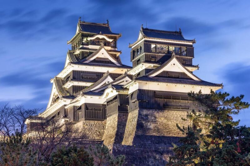 From Fukuoka: Private Mount Aso & Kumamoto Castle Day Trip - A Closer Look: What to Expect from the Tour