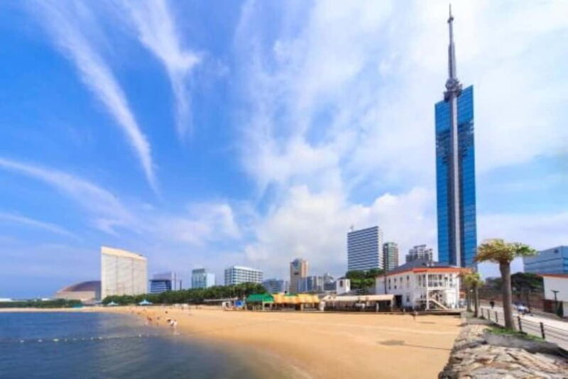 From Fukuoka: Private Shrine & Food Tour w/ English Guide - Why This Tour Offers Great Value