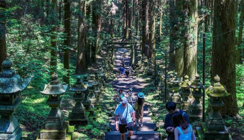 From Fukuoka: Takachiho Gorge, Shrines, & Cave Day Trip - Key Points