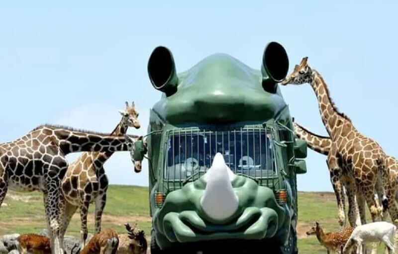 From Fukuoka: Yufuin, Beppu, Wildlife Park & Onsen Day Trip - Key Points