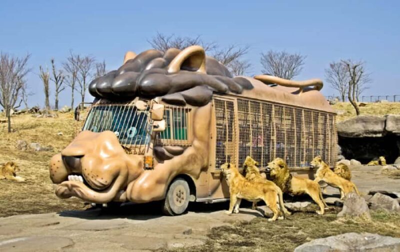 From Fukuoka: Yufuin, Beppu, Wildlife Park & Onsen Day Trip - What Makes This Tour Stand Out?