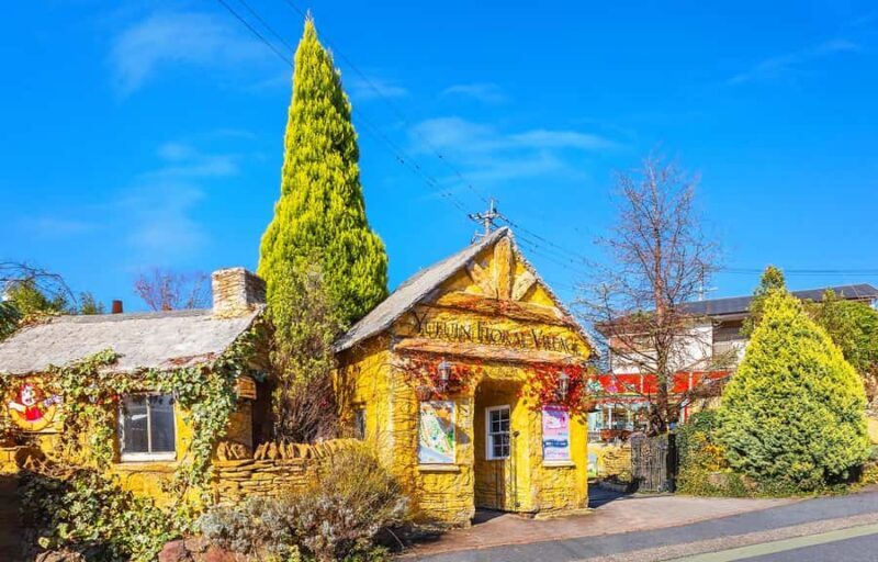 From Fukuoka: Yufuin, Beppu, Wildlife Park & Onsen Day Trip - FAQ