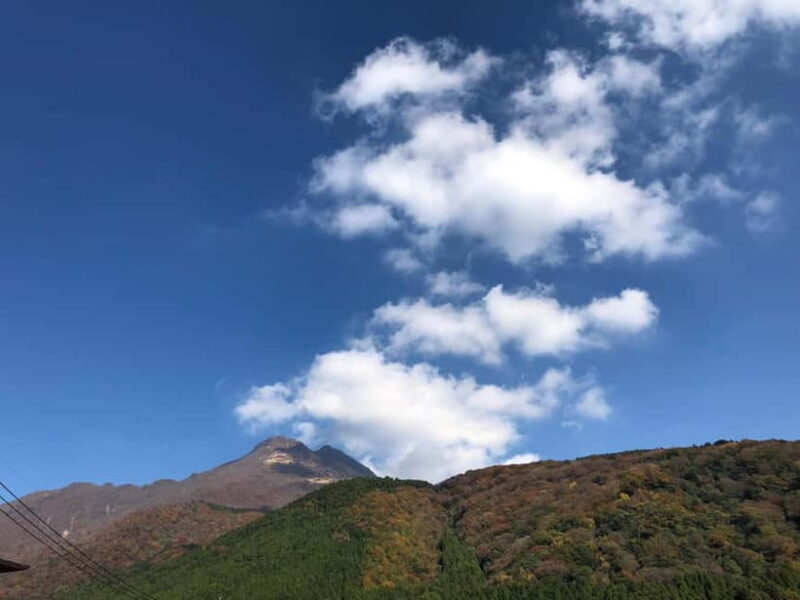 From Fukuoka: Yufuin, Hita, and Beppu Day Trip - Authentic Experiences and Traveler Tips