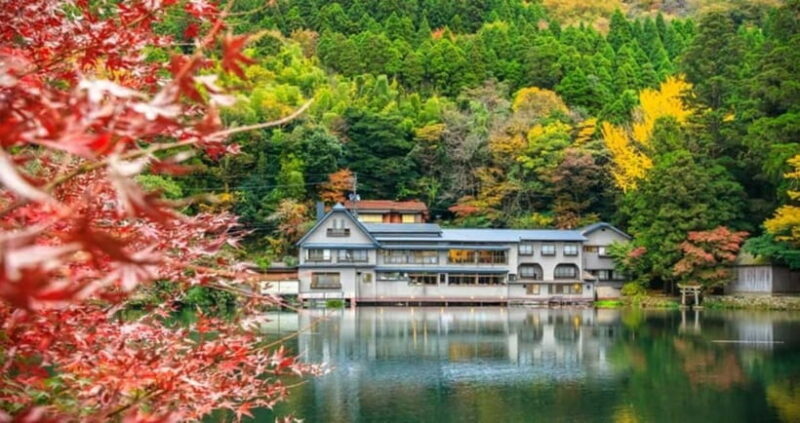 From Fukuoka: Yufuin, Hita, and Beppu Day Trip - Who Should Consider This Tour?