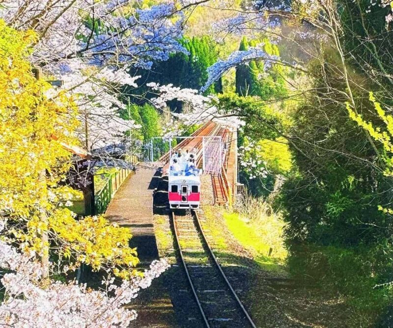 From FukuokaTakachiho Classic Day Tour: Gorge, Train & Cave - The Spiritual Power of Amanoiwato Cave