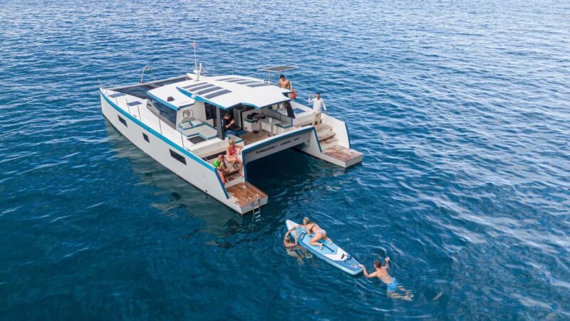 From Funchal: 10-Hour Luxury Tour to Desertas Islands - The Desertas Islands: What Makes Them Special