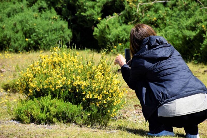 From Funchal: 2-Day Guided Tour of Madeira - Final thoughts: who will benefit most?