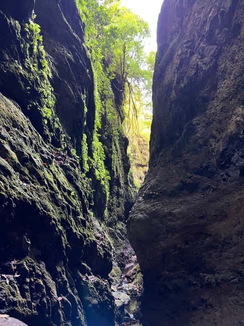 From Funchal: Advanced Canyoning Experience in Madeira - Final Thoughts