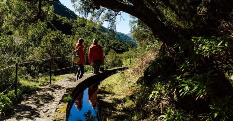 From Funchal/Caniço: Rabaçal Hike (25 Fontes) Bus Transfer - Key Points