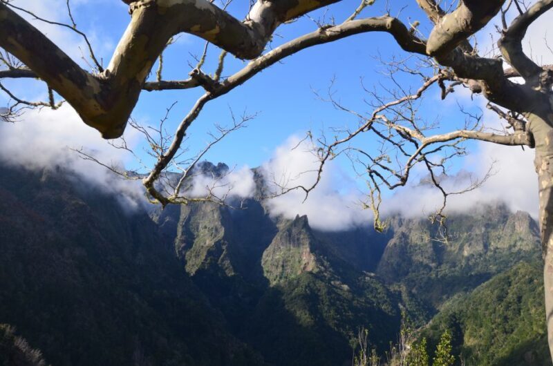 From Funchal: East Tour Madeira 4x4 Jipe Tour Santana Houses - FAQ
