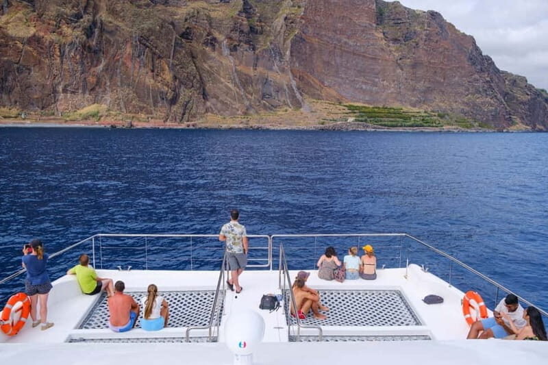 From Funchal: Ecological Catamaran Dolphin Whale Watching - Key Points