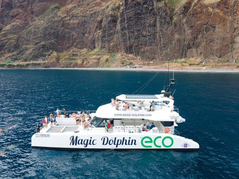 From Funchal: Ecological Catamaran Dolphin Whale Watching - Who Should Consider This Tour?