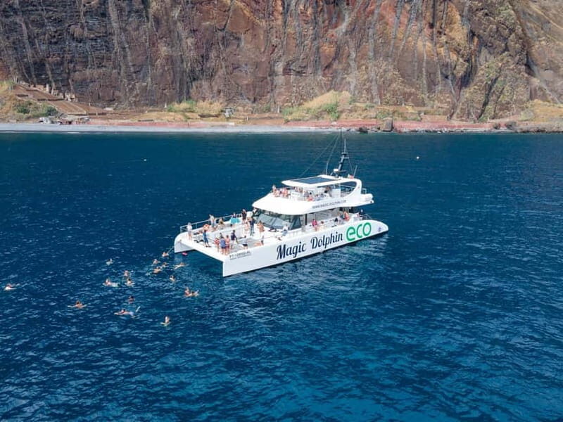 From Funchal: Ecological Catamaran Dolphin Whale Watching - The Sum Up