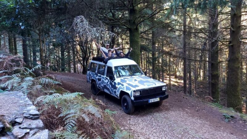 From Funchal: Jeep Tour with Madeira Wine Tasting - A Mix of Breathtaking Scenery and Local Charm