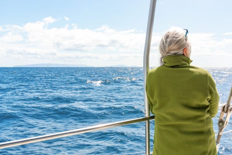 From Funchal: Madeira Dolphin and Whale Watching Tour - Introduction