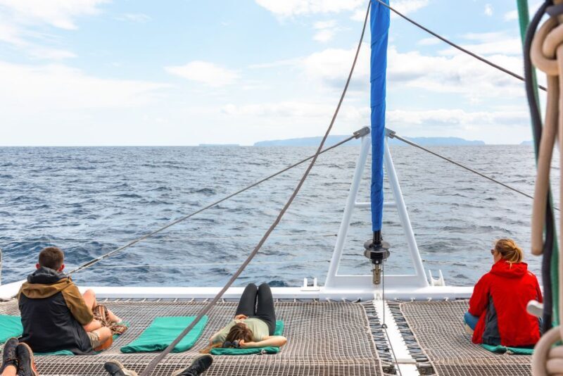From Funchal: Madeira Dolphin and Whale Watching Tour - Practical Details