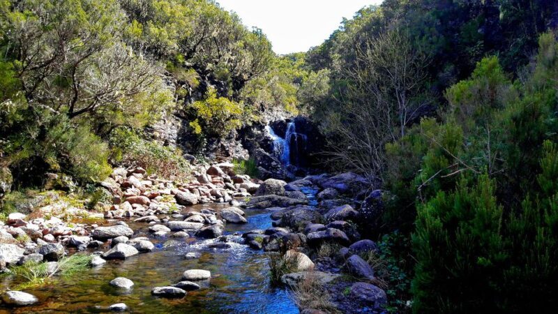 From Funchal: Madeira Lakes Levada Guided Hike - FAQ