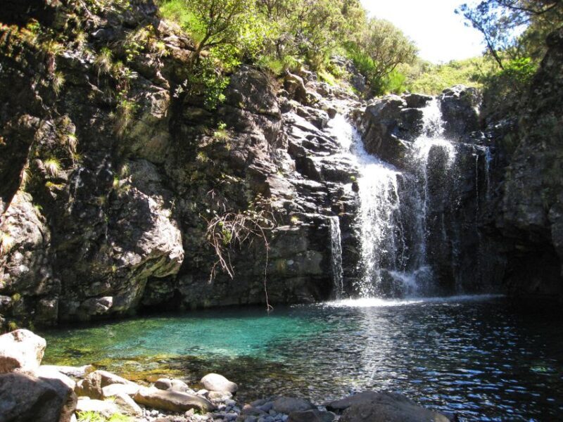 From Funchal: Madeira Lakes Levada Guided Hike - Key Points
