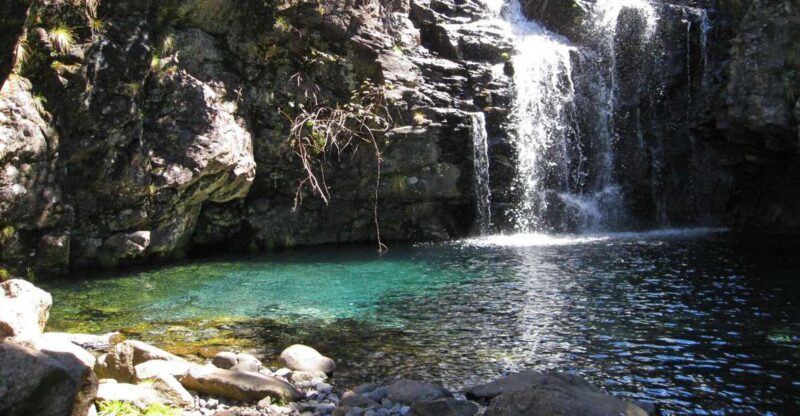From Funchal: Madeira Lakes Levada Guided Hike - The Itinerary: What’s Waiting for You