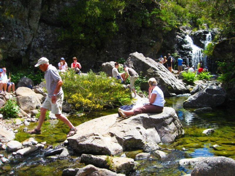 From Funchal: Madeira Lakes Levada Guided Hike - What to Bring and Considerations