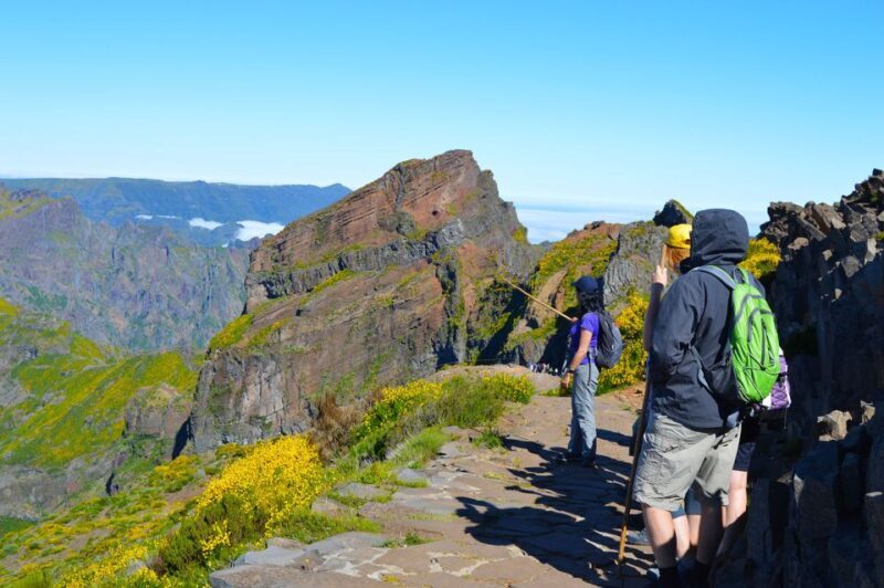 From Funchal: Madeira Peaks Mountain Walk - The Cost: Is It Worth It?
