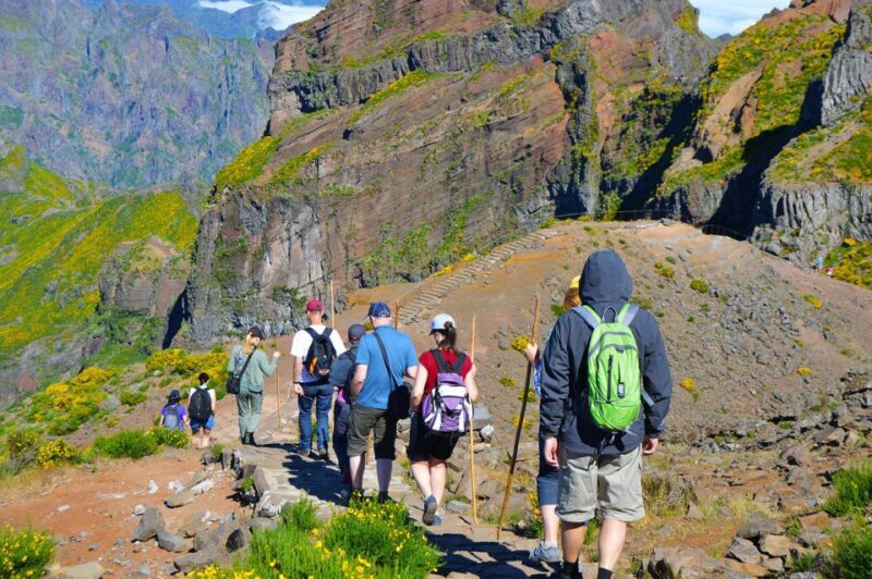 From Funchal: Madeira Peaks Mountain Walk - The Review Highlights: Honest Feedback from Travelers