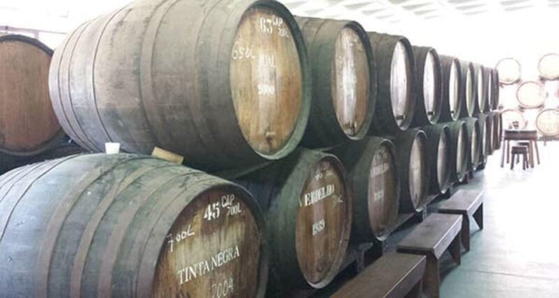 From Funchal: Madeira Wine Tour, Cable Car & Typical Lunch - Visiting the Wine Cellar: An In-Depth Look
