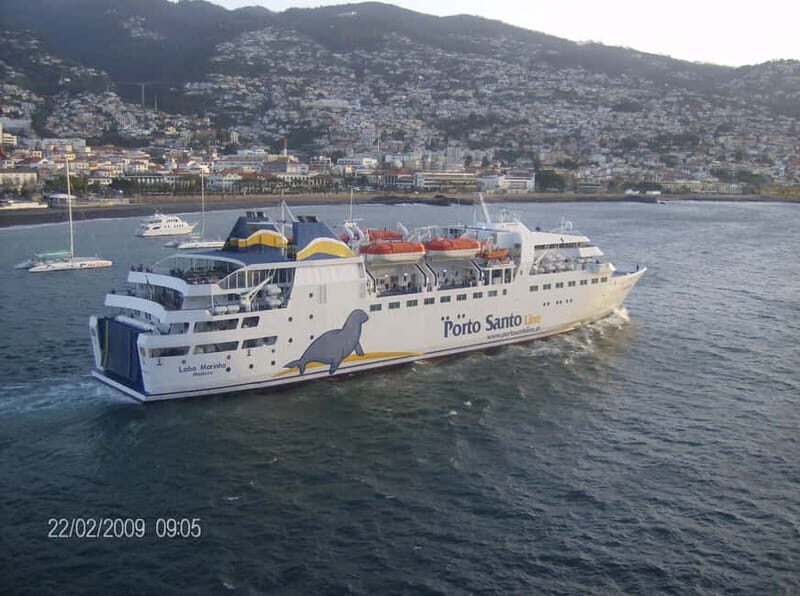 From Funchal: Porto Santo 1-Day Cruise and Tour - Who Should Consider This Tour?