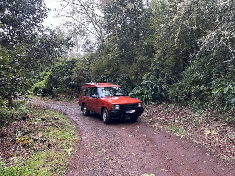 From Funchal: Private Eastern or Western Jeep Tour - The Value and Why It Matters