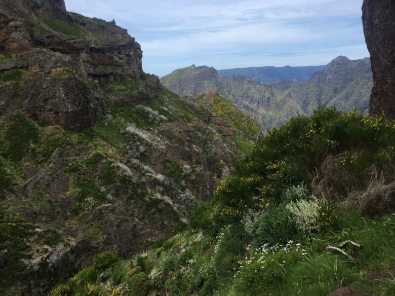 From Funchal: Santana and Pico do Areeiro East Island Tour - Exploring Madeira’s East Coast: A Closer Look