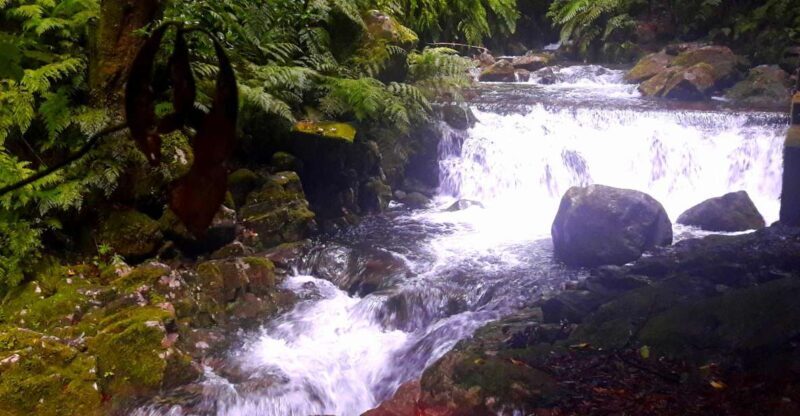 From Funchal: São Jorge Valleys Levada Walk - The Itinerary: What to Expect on the São Jorge Valleys Levada Walk