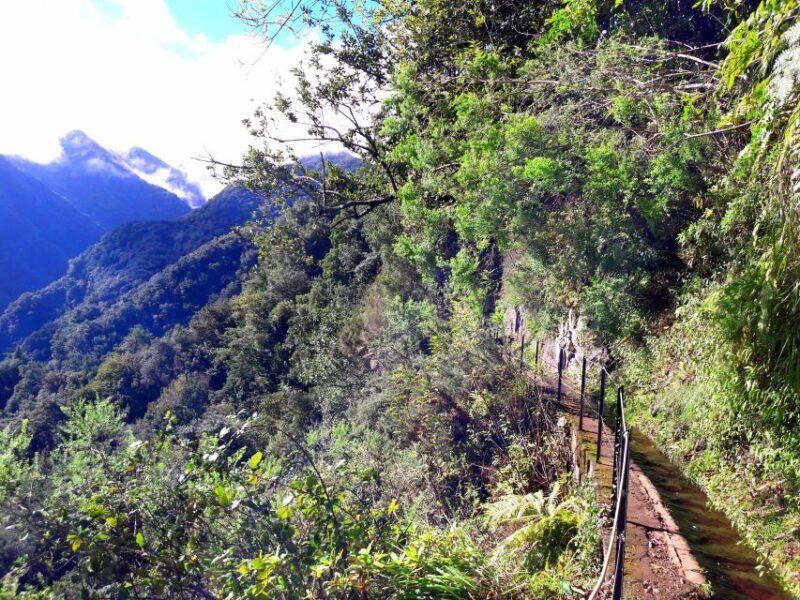 From Funchal: São Jorge Valleys Levada Walk - Detailed Breakdown of the Experience