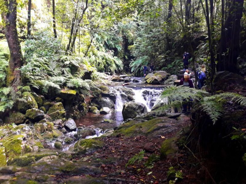 From Funchal: São Jorge Valleys Levada Walk - Who Will Love This Tour?
