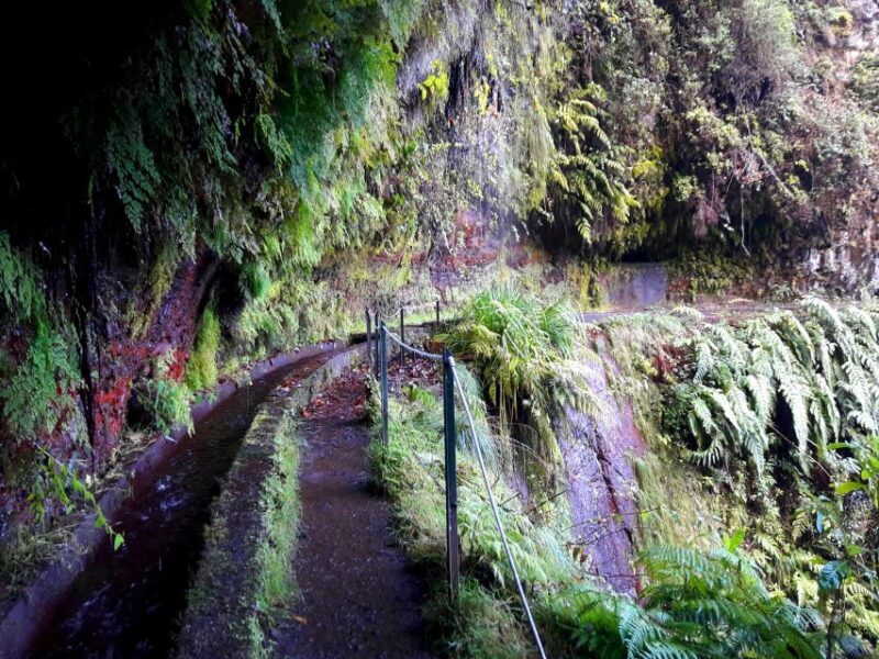 From Funchal: São Jorge Valleys Levada Walk - Final Thoughts
