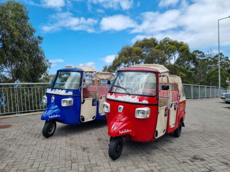 From Funchal: Tuk Tuk Tour to Camara de Lobos and Cabo Girao - An In-Depth Look at the Tour Experience