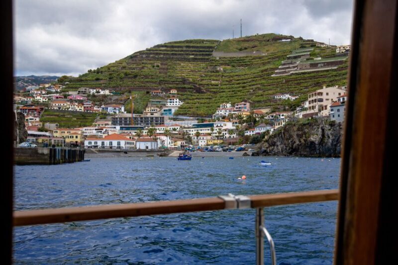 From Funchal: West Bays Sailing Tour with Lunch - Final Thoughts