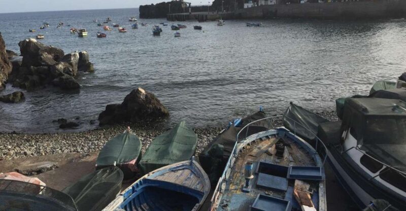 From Funchal: West Madeira and Laurel Forest Day Trip - Key Points