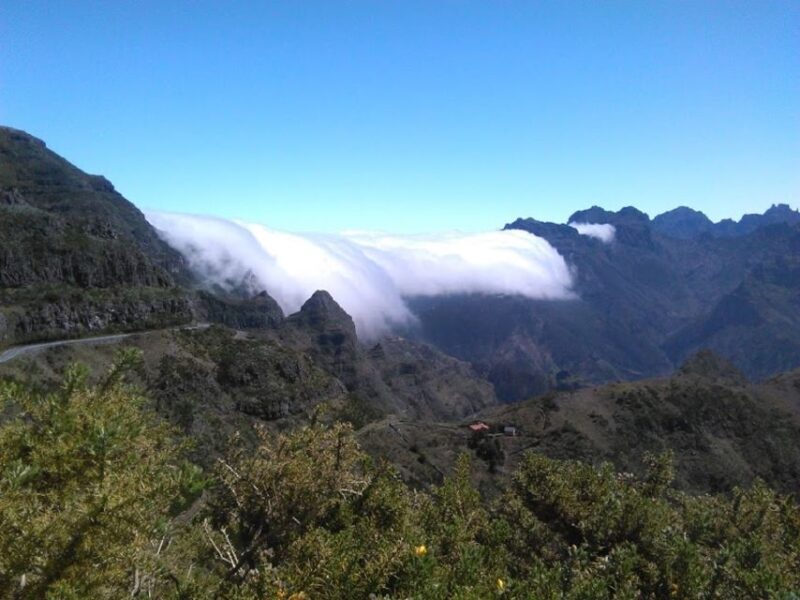 From Funchal: West Madeira and Laurel Forest Day Trip - Final Thoughts