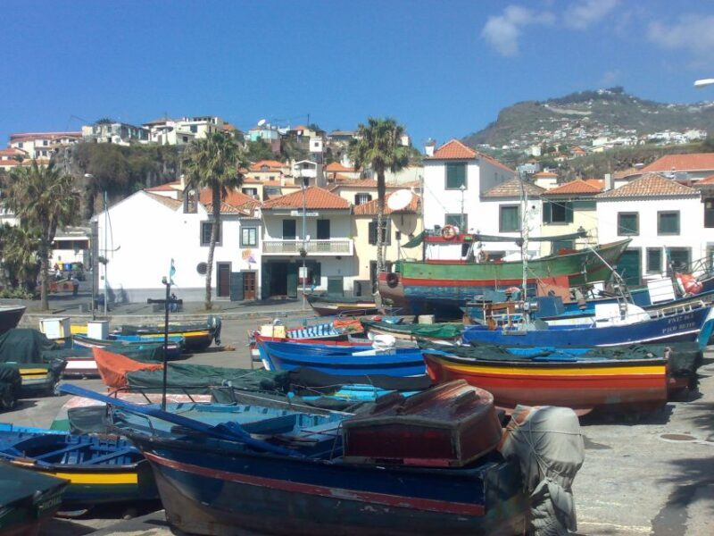 From Funchal: West Madeira Waterfalls and Fanal Forest Tour - Who Should Consider This Tour?
