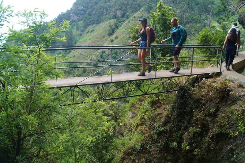 From Funchal: Wet your hair in the amazing Moinhos Levada - An In-Depth Look at the Tour Experience