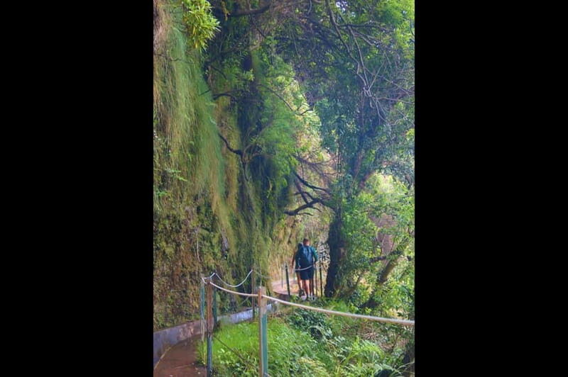 From Funchal: Wet your hair in the amazing Moinhos Levada - Final Thoughts