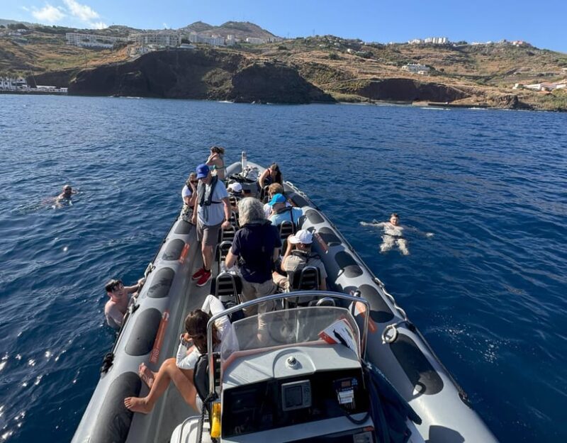 From Funchal: Whale and Dolphin Watching - FAQ