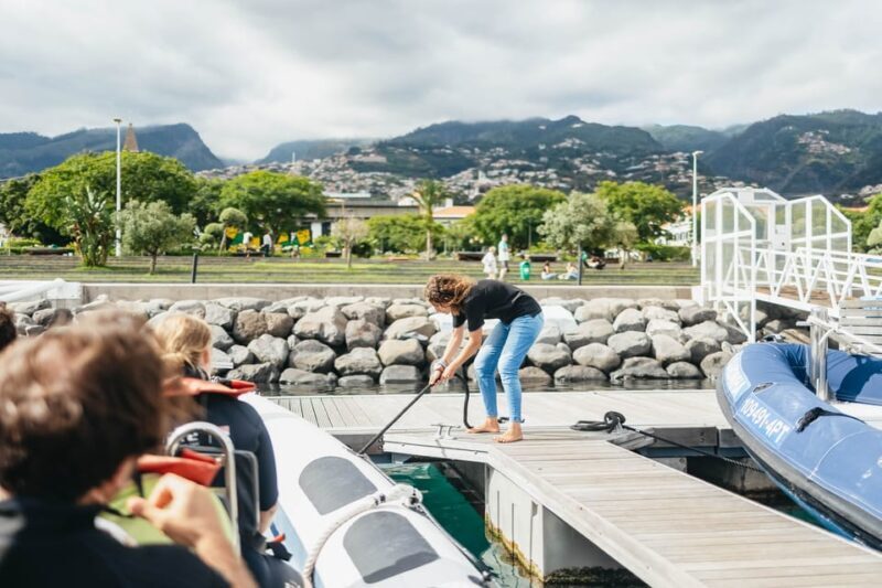 From Funchal: Whales and Dolphin Adventure Tour - Key Points