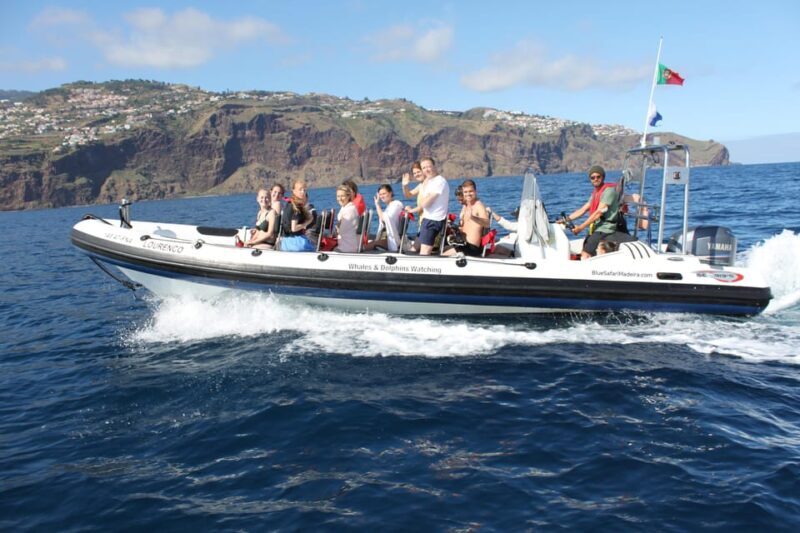 From Funchal: Whales and Dolphin Adventure Tour - FAQ
