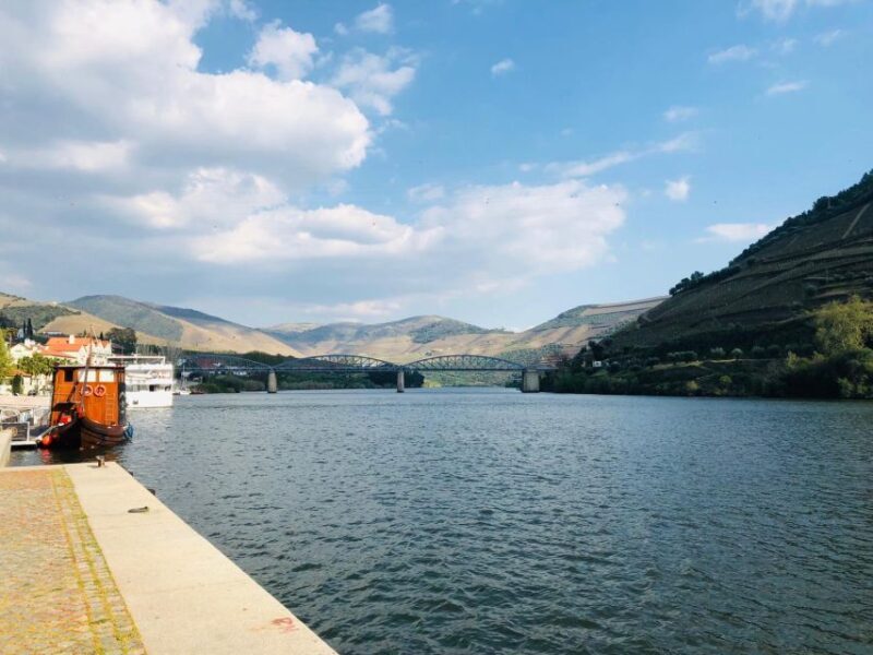 From Gaia Douro Valley Tour Wine Tasting River Cruise Lunch - Price and Value